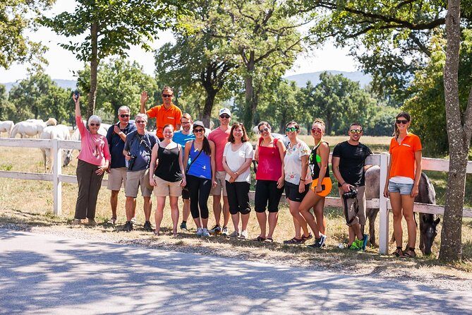 Skocjan Caves, Lipica & Piran: Karst & Coast Small-Group Day Trip from Ljubljana - A Deep Dive into the Experience
