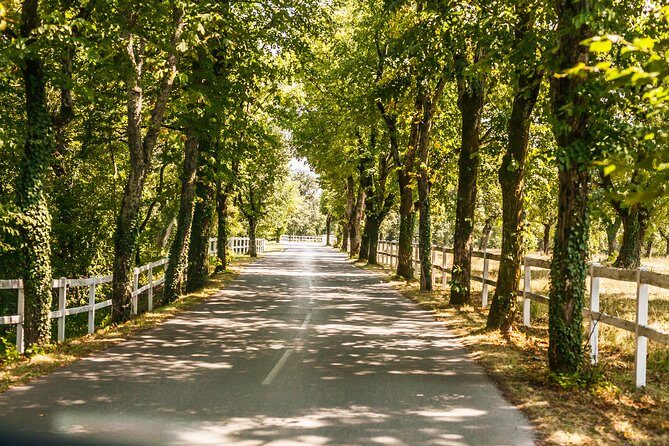 Skocjan caves, Piran & Predjama castle | Private trip from Ljubljana - Final Thoughts