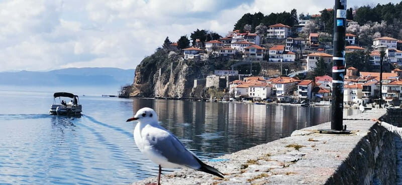 Skopje: Transfer to Tirana w/ Half-Day Tour of Ohrid - The Sum Up