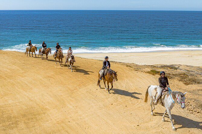 Sky Bike Free Camel Ride and Horseback Riding - What Travelers Are Saying