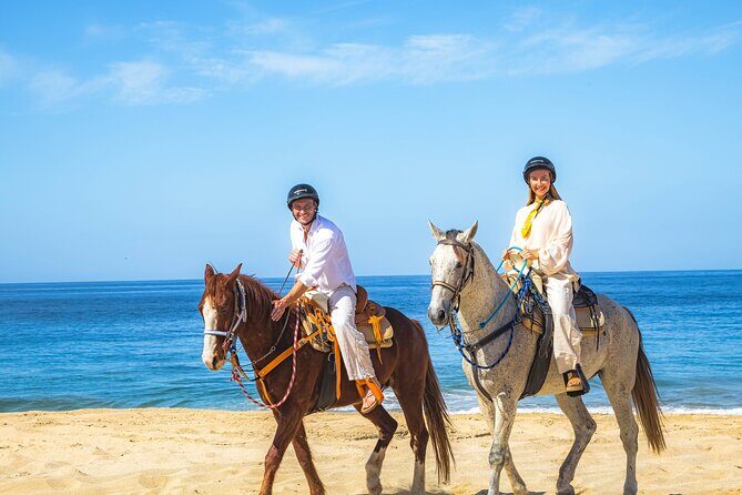 Sky Bike Free Camel Ride and Horseback Riding - FAQs