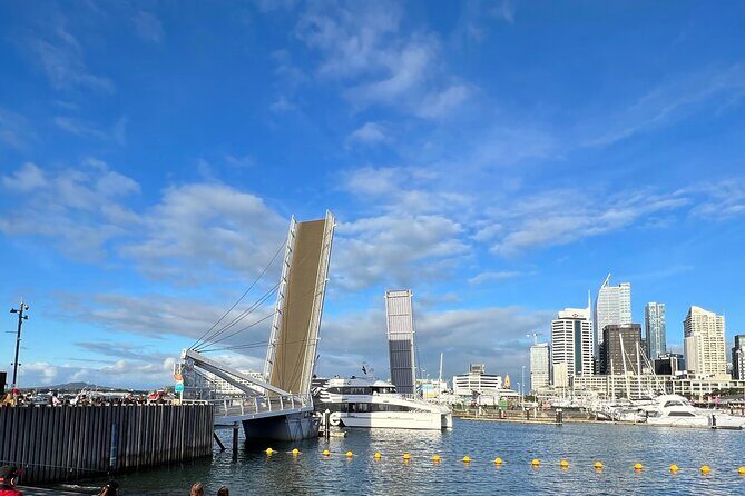 Skyline To Summit - Aucklands Ultimate Private City Experience - Who Should Consider This Tour?
