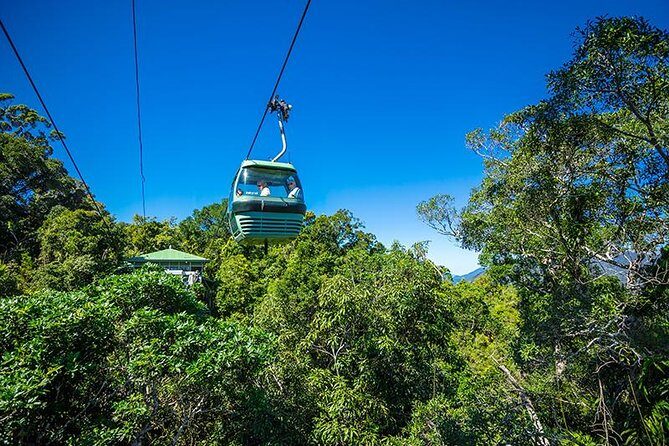 Skyrail Rainforest Cableway Day Trip from Cairns - Key Points