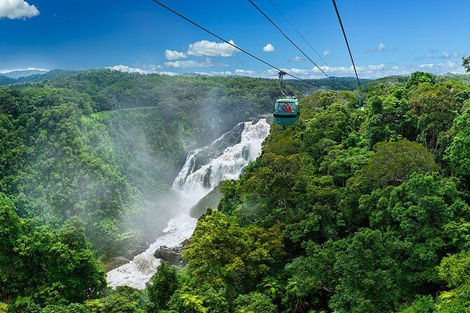 Skyrail Rainforest Cableway Day Trip from Port Douglas - Final Thoughts
