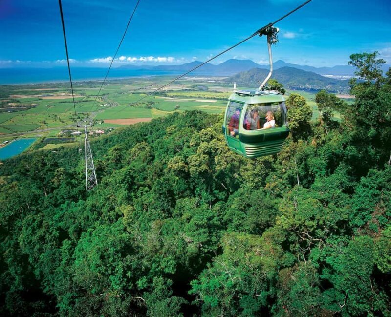 Skyrail Rainforest Cableway Round-Trip Experience - Key Points