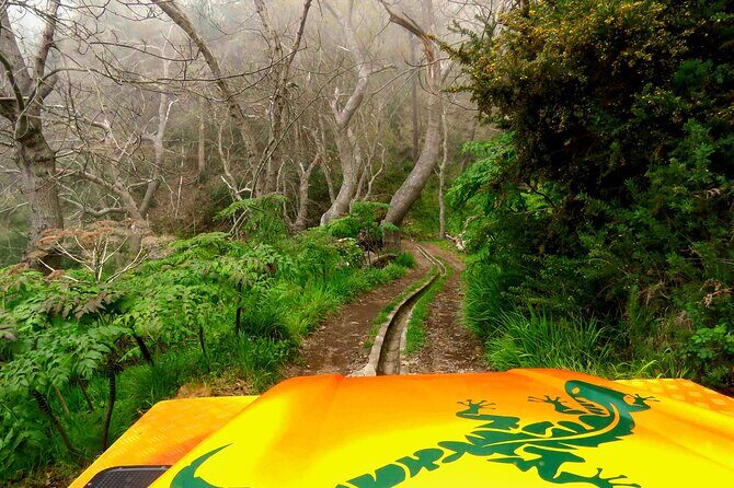 Skywalk, Vineyards, Landscapes and 4x4 Experience in Madeira - FAQ