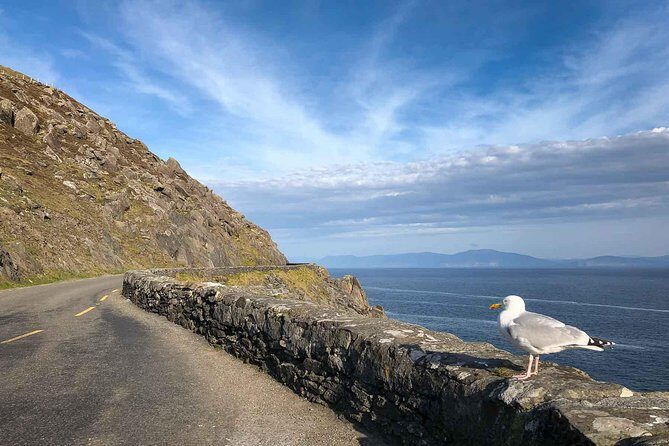 Slea Head Photo & Sightseeing Tour - An Honest Look at the Slea Head Photo & Sightseeing Tour