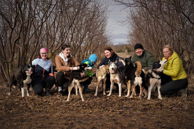 SLED DOG KENNEL VISIT TARTU COUNTRY ESTONIA - Introduction: Why a Sled Dog Kennel Visit in Tartu Is a Must-Do