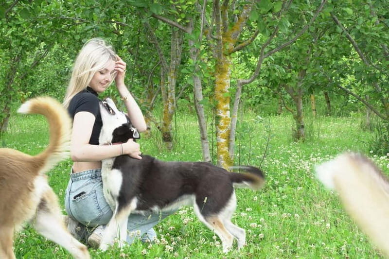 SLED DOG KENNEL VISIT TARTU COUNTRY ESTONIA - Practical Tips for Your Visit