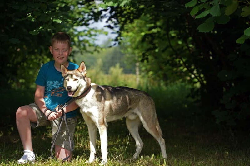 SLED DOG KENNEL VISIT TARTU COUNTRY ESTONIA - The Sum Up: Who Will Love This Experience?