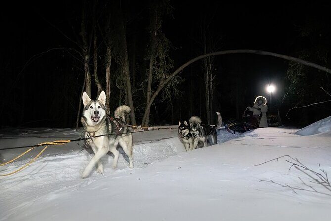 Sledding and Homesteading Adventure - The Guides: Knowledgeable and Approachable