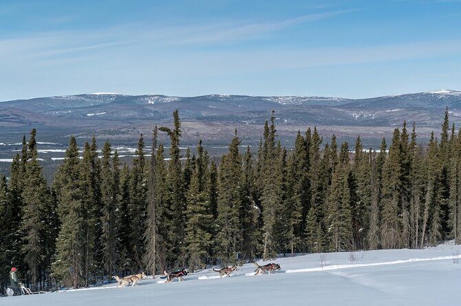 Sledding and Homesteading Adventure - The Itinerary in Detail