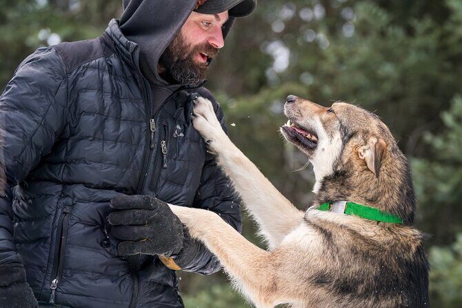 Sledding and Homesteading Adventure - Who Would Love This Tour?