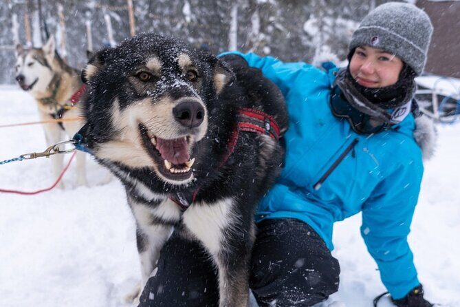 Sledding and Homesteading Adventure - The Sum Up