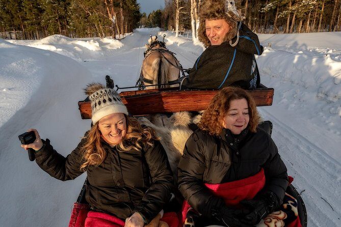 Sleigh or wagon ride in the arctic Country side - The Experience: What You Can Expect