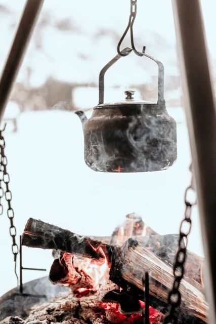 sleigh ride and dining experience - The Journey Through the Norwegian Countryside