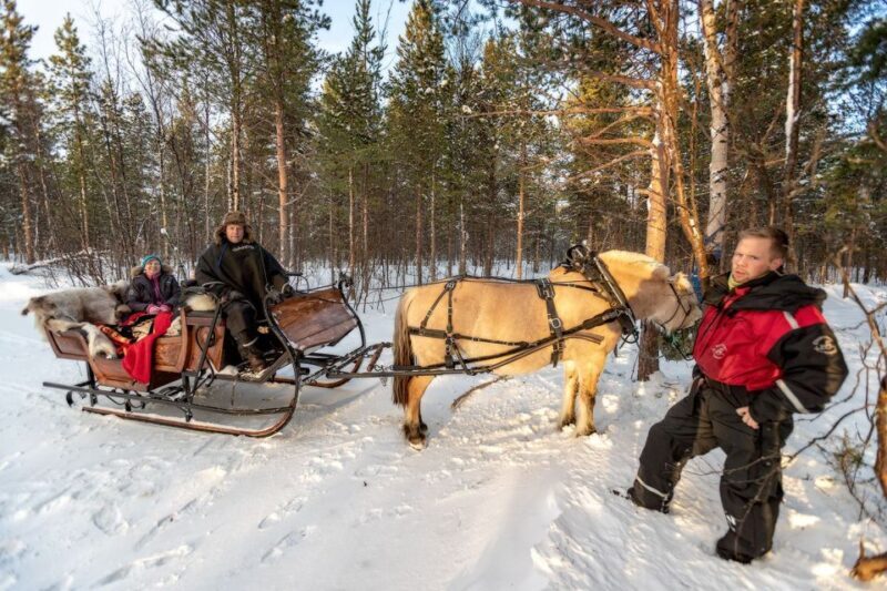 sleigh ride and dining experience - Return Journey and Additional Highlights