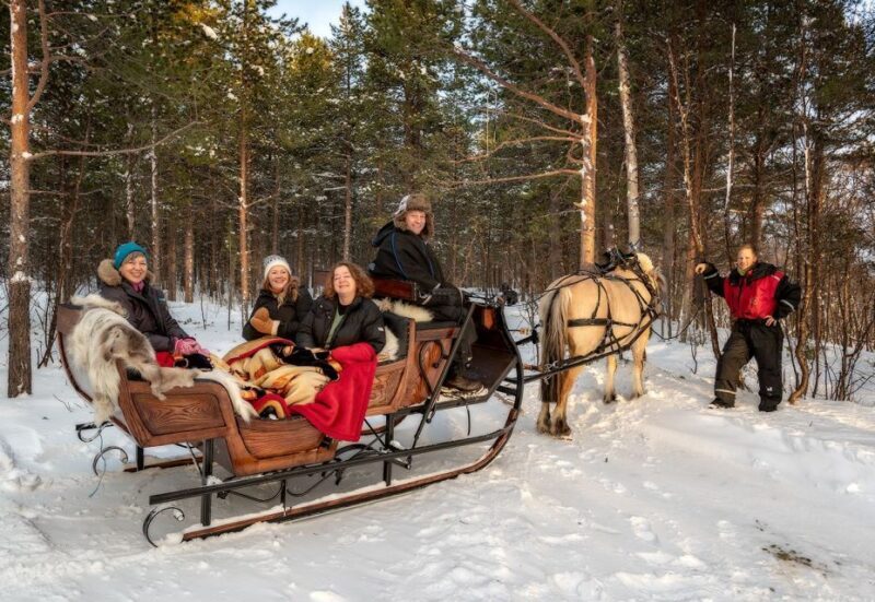 sleigh ride and dining experience - Practical Tips for Travelers