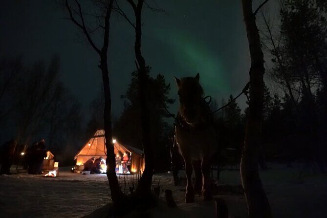 Sleigh ride Under The Northern Lights - Final Thoughts
