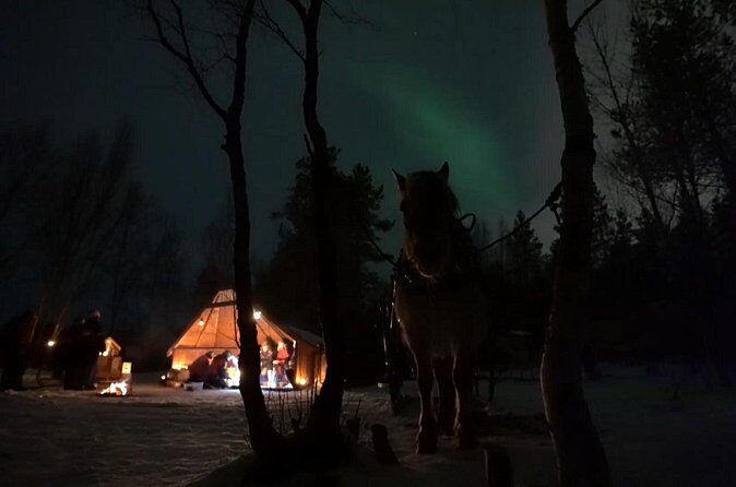 Sleigh ride Under The Northern Lights - FAQ