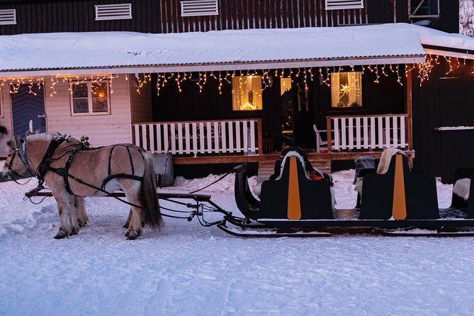 Sleigh Ride w/ snacks - Experience Arctic Farm Life - Key Points