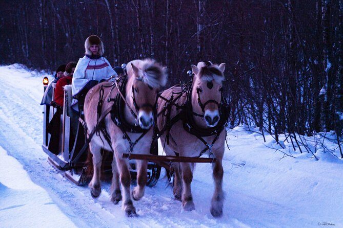 Sleigh Ride w/ snacks - Experience Arctic Farm Life - What Reviewers Say About the Tour
