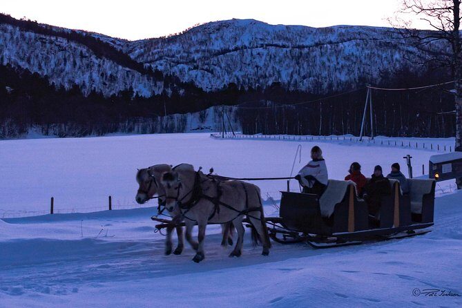 Sleigh Ride w/ snacks - Experience Arctic Farm Life - FAQ