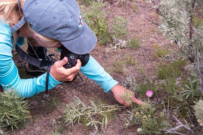 Slough Creek Naturalist Day Hike - A Deep Dive into the Slough Creek Naturalist Day Hike