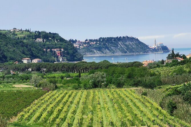 Slovenian coast Koper, Izola, Piran - Parenzana electric biking tour from Koper - Izola: The Fishermans Town