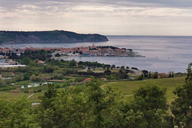 Slovenian coast Koper, Izola, Piran - Parenzana electric biking tour from Koper - Piran: The Historic Gem