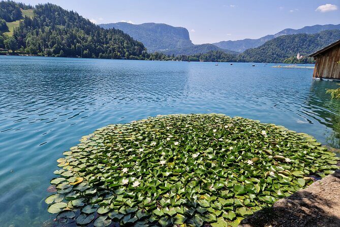 Slovenia's highlights: Bled lake and Ljubljana Full-Day Private Tour from Zagreb - Final Thoughts