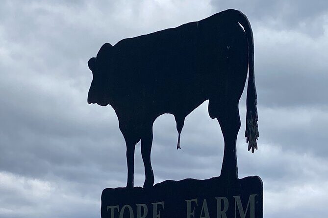 Slow Food Highland Dining and Storytelling in Inverness - An In-Depth Look at the Highland Dining & Storytelling Tour