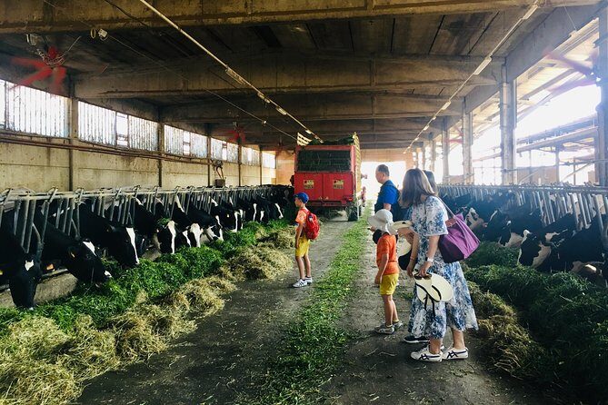 Slow Parma Food Experience Half Day Private Tour and Tasting - FAQs