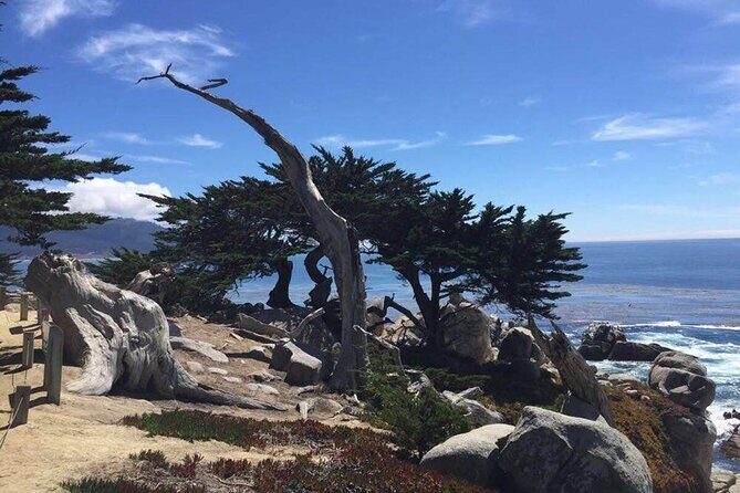 Small Group | 1 Day Tour Through Monterey From San Francisco - Introduction to the Tour Experience