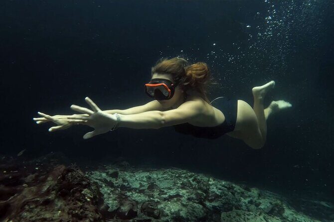 Small-Group 3 Hidden Cenotes Adventure with Tequila Tasting - An Honest Look at What to Expect