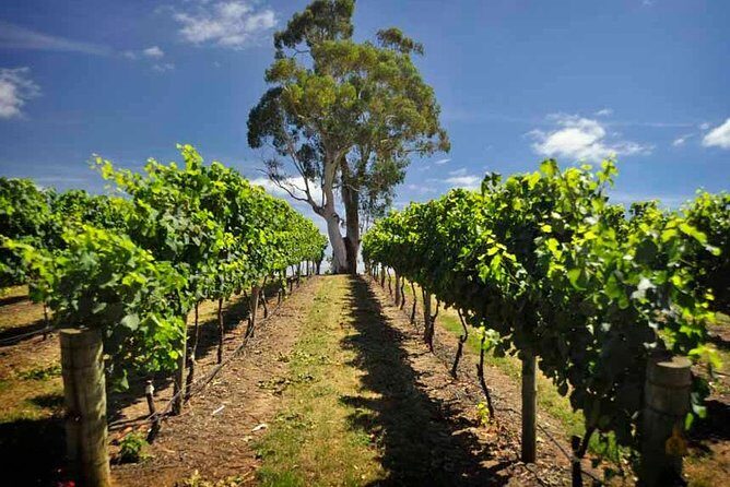 Small Group Adelaide Hills and Hahndorf Hideaway Tour from Adelaide - Detailed Breakdown of the Itinerary