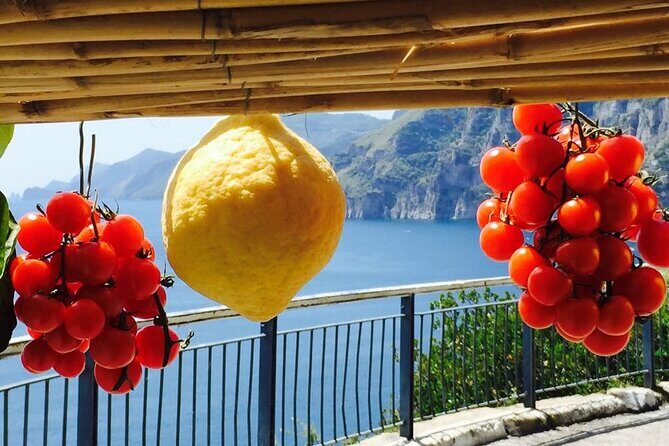 Small Group Amalfi Coast Tour from Sorrento in a Mercedes Van - Who Will Love This Tour?