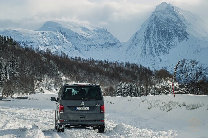 Small Group Arctic Fjords Road trip with Scenic Picnic - Who Will Love This Tour?