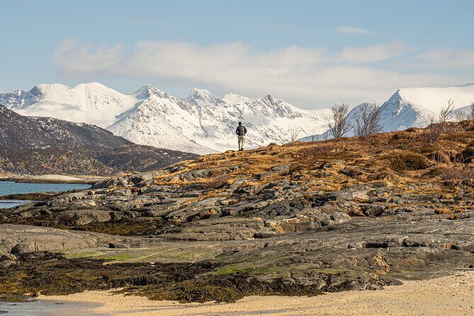 Small Group Arctic Fjords Road trip with Scenic Picnic - Final Thoughts