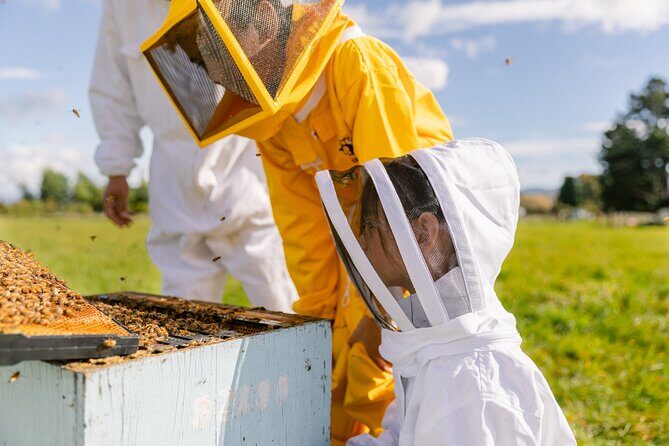 Small-Group Beekeeping Experience in Tauherenikau - Key Points