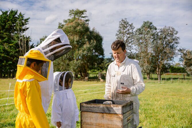 Small-Group Beekeeping Experience in Tauherenikau - Following the Honey: From Hive to Jar