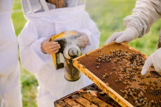 Small-Group Beekeeping Experience in Tauherenikau - Optional Add-On Activities