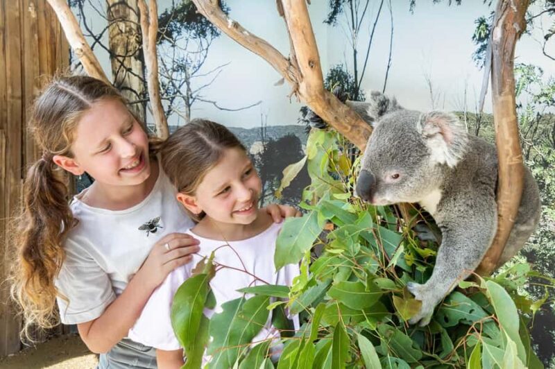 Small Group Blue Mountains, Wildlife & Scenic World Day Tour - An In-Depth Look at the Tour Experience