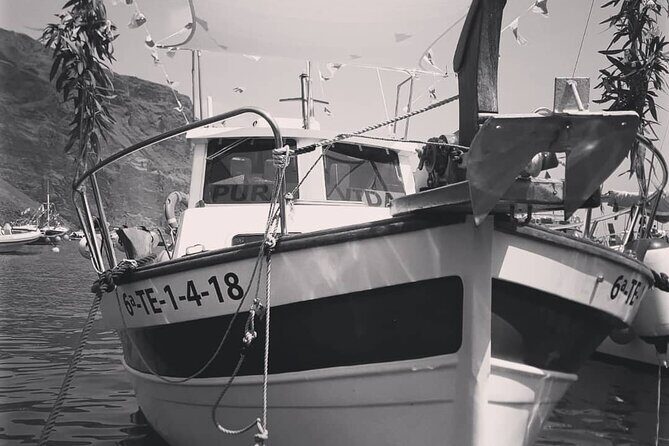 Small Group Boat Whale and Dolphin Watching Tour - Introduction: Why We Love This Whale and Dolphin Tour