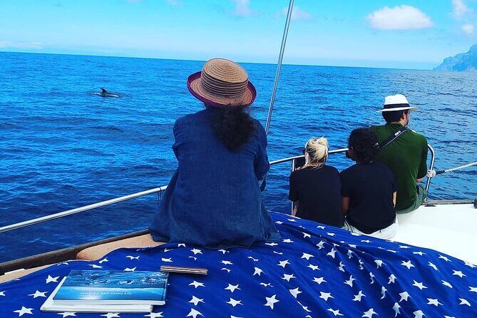 Small Group Boat Whale and Dolphin Watching Tour - Who Will Love This Tour?