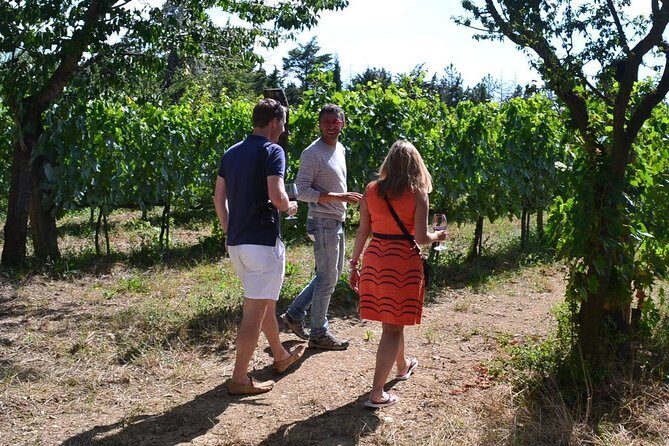 Small-Group Brunello Wine Tour of Montalcino from Florence - FAQ
