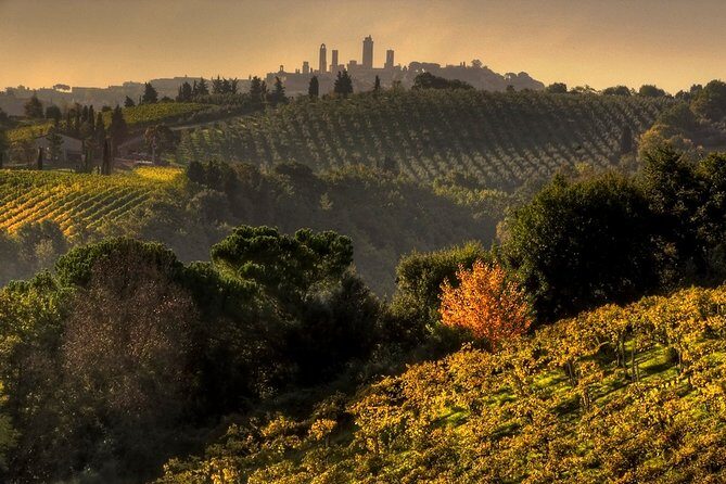Small-Group Chianti and San Gimignano Sunset Trip from Siena - What We Love About This Tour