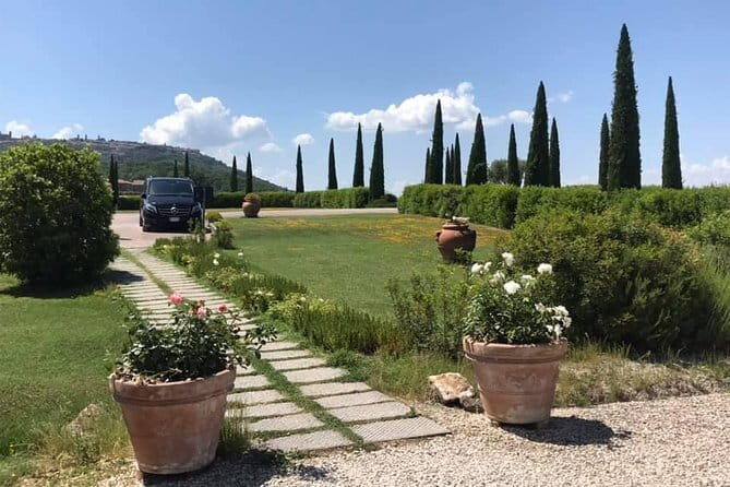 Small group Chianti-side wine tour with Mercedes V class Van - Key Points