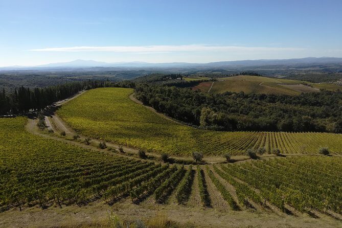 Small-Group Chianti Trip with Wine Tasting from Siena - FAQs