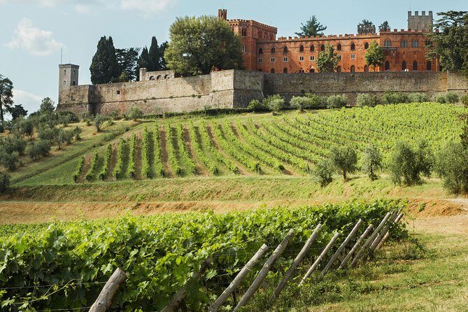 Small-Group Chianti Trip with Wine Tasting from Siena - Final Thoughts